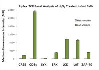 MILLIPLEX MAP T-Cell Receptor Signaling Magnetic Bead Kit 7-Plex - Cell ...